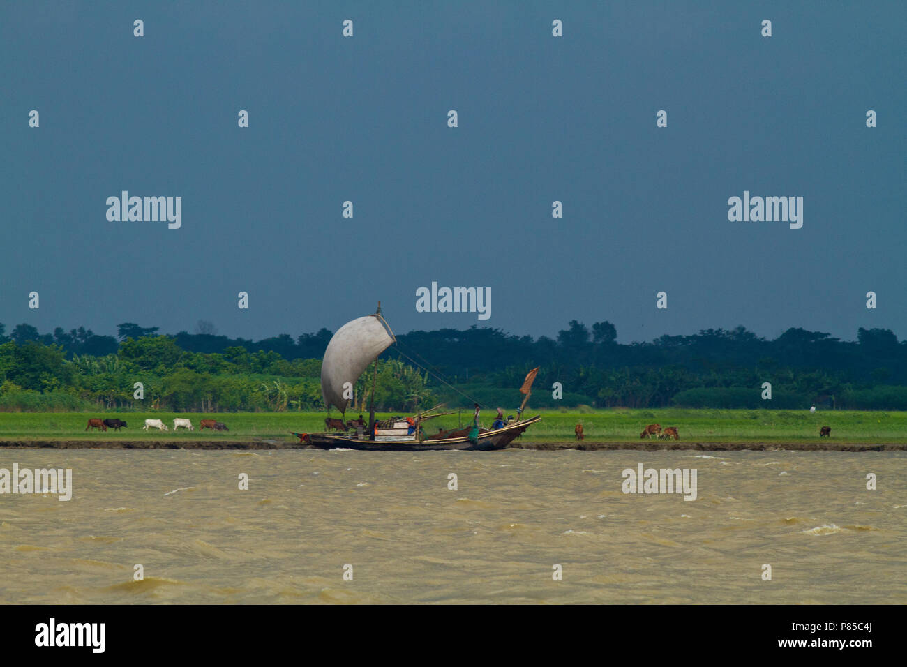 Fishing boat on the meghna river. Chandpur, Bangladesh Stock Photo - Alamy