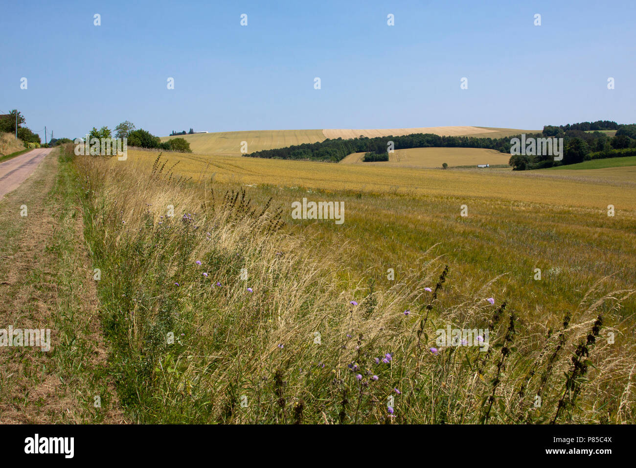 Landbouw in de Morvan (Frankrijk), Agriculture in the Morvan (France ...