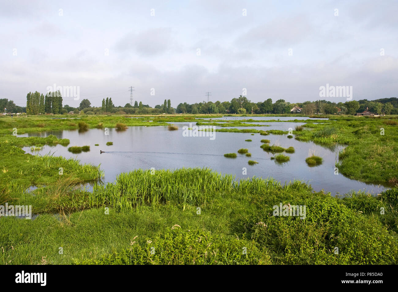 Polder poelgeest hi-res stock photography and images - Alamy