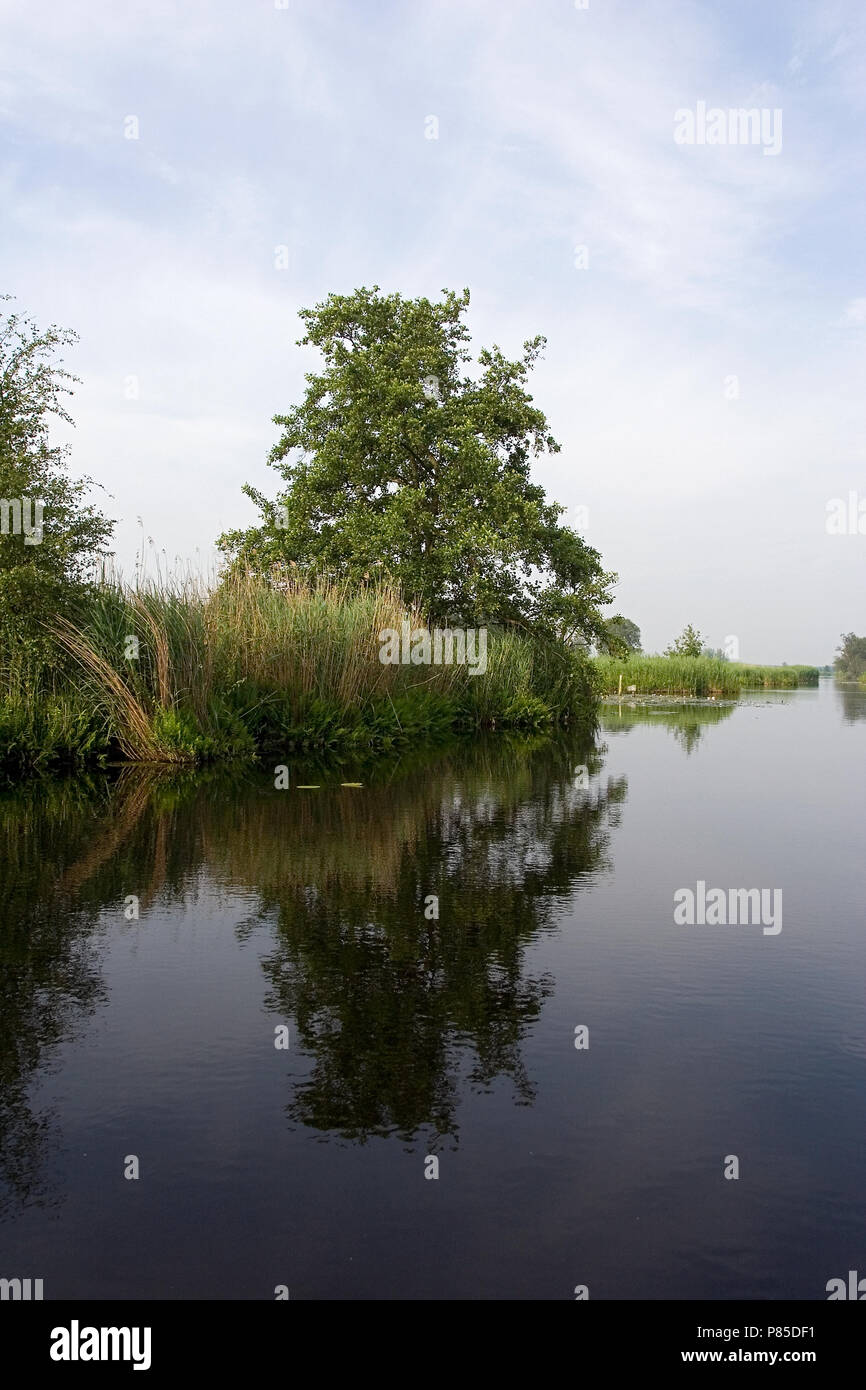 Nieuwkoop hi-res stock photography and images - Alamy