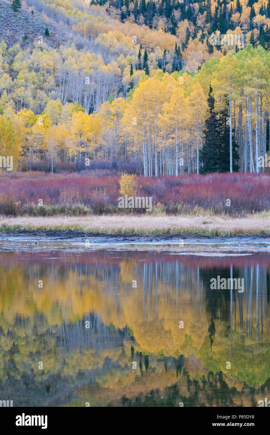 Fall Mountain Reflection Stock Photo - Alamy