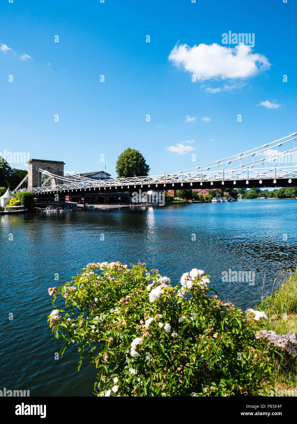 Marlow suspension bridge hi-res stock photography and images - Alamy