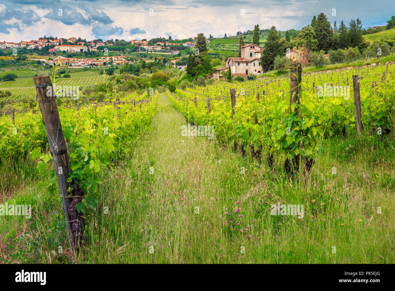 Fantastic cityscape with typical stone houses and stunning vineyard ...