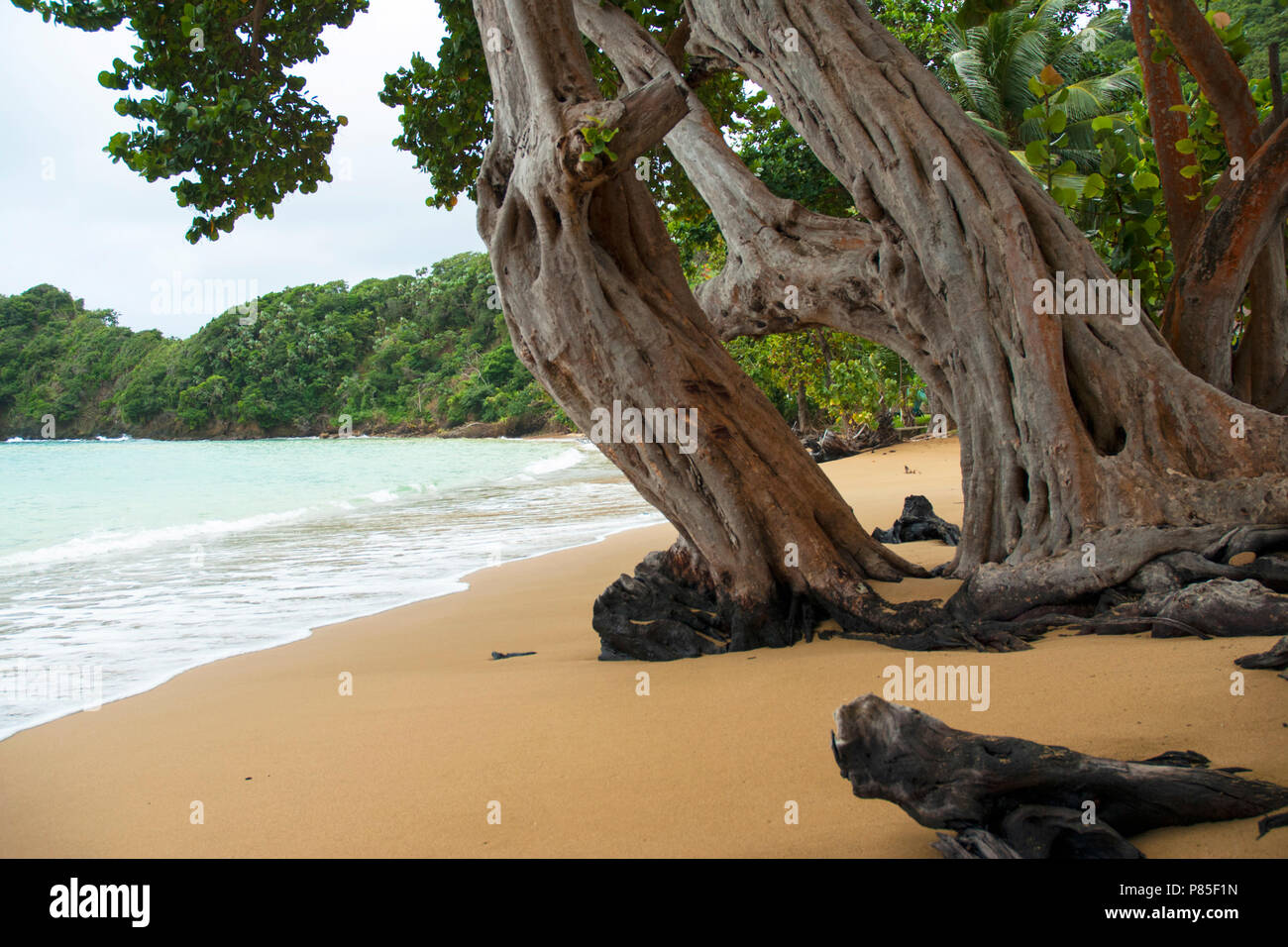 Batteaux High Resolution Stock Photography and Images - Alamy