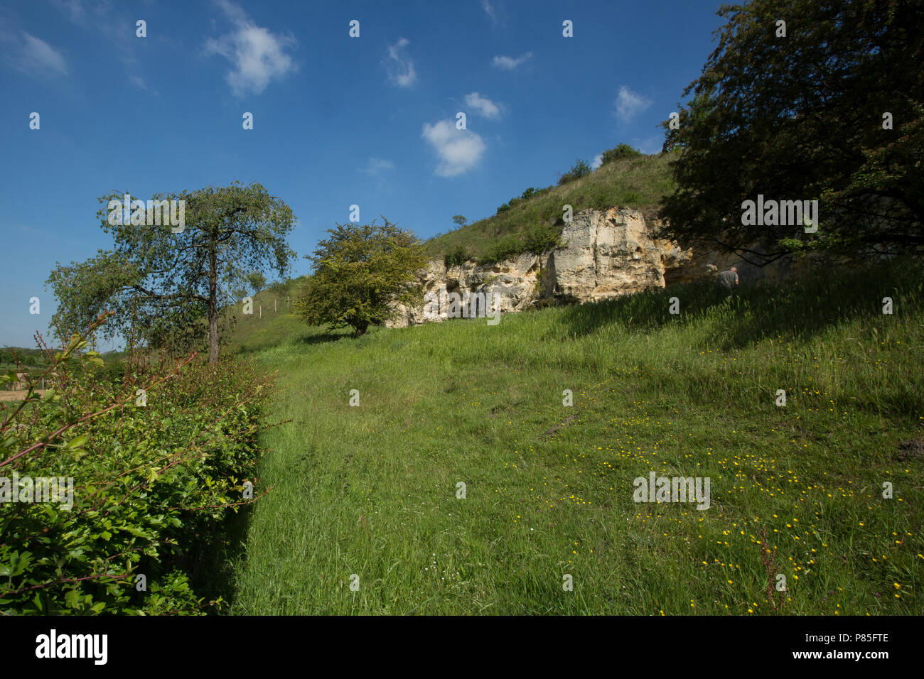 Natuurgebied de Bemelerberg, Nature reserve the Bemelerberg Stock Photo ...