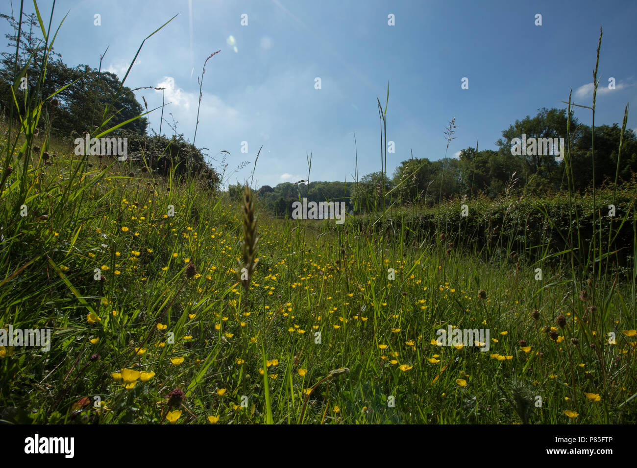 Natuurgebied de Bemelerberg, Nature reserve the Bemelerberg Stock Photo ...