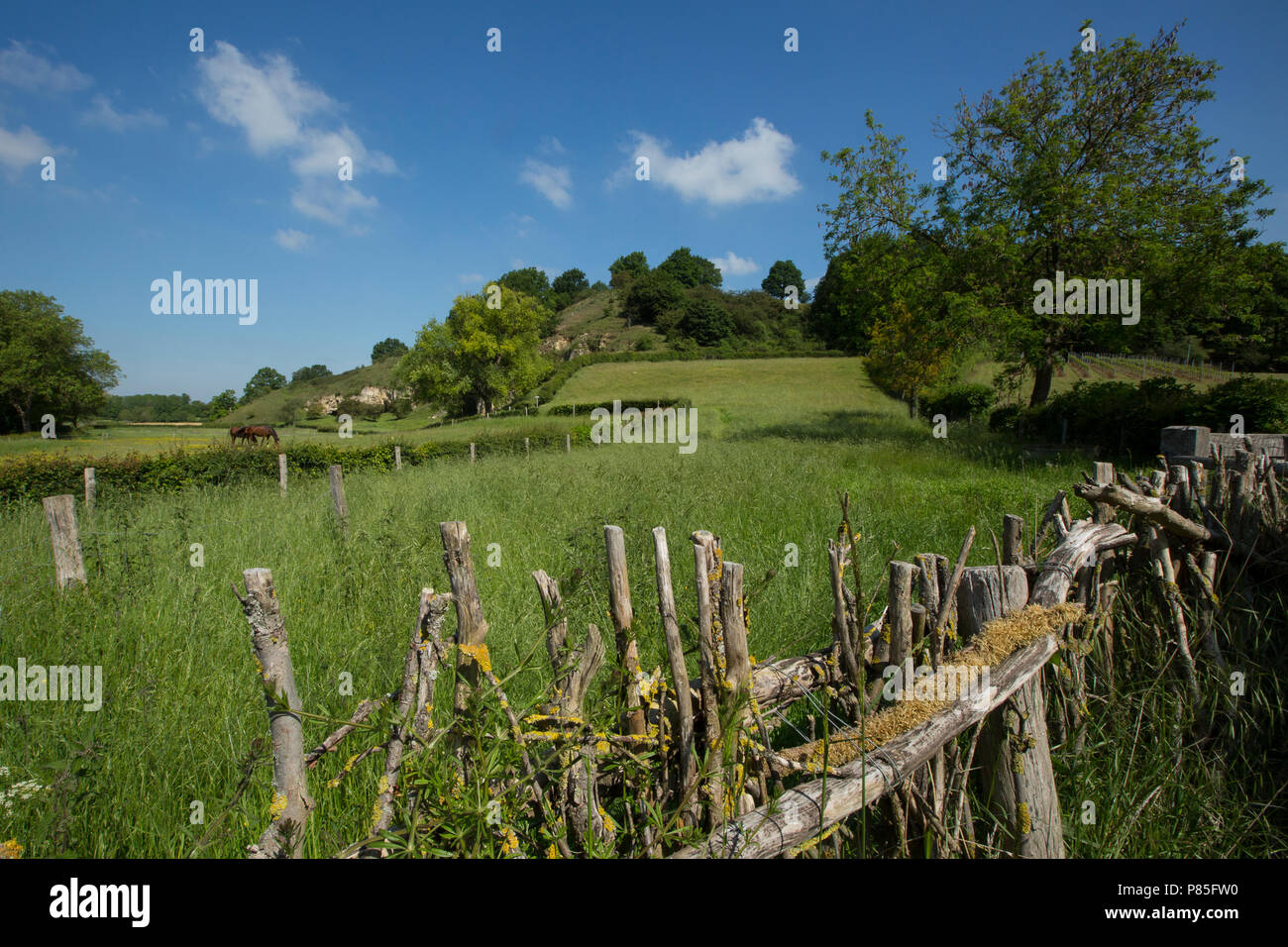 Natuurgebied de Bemelerberg, Nature reserve the Bemelerberg Stock Photo ...