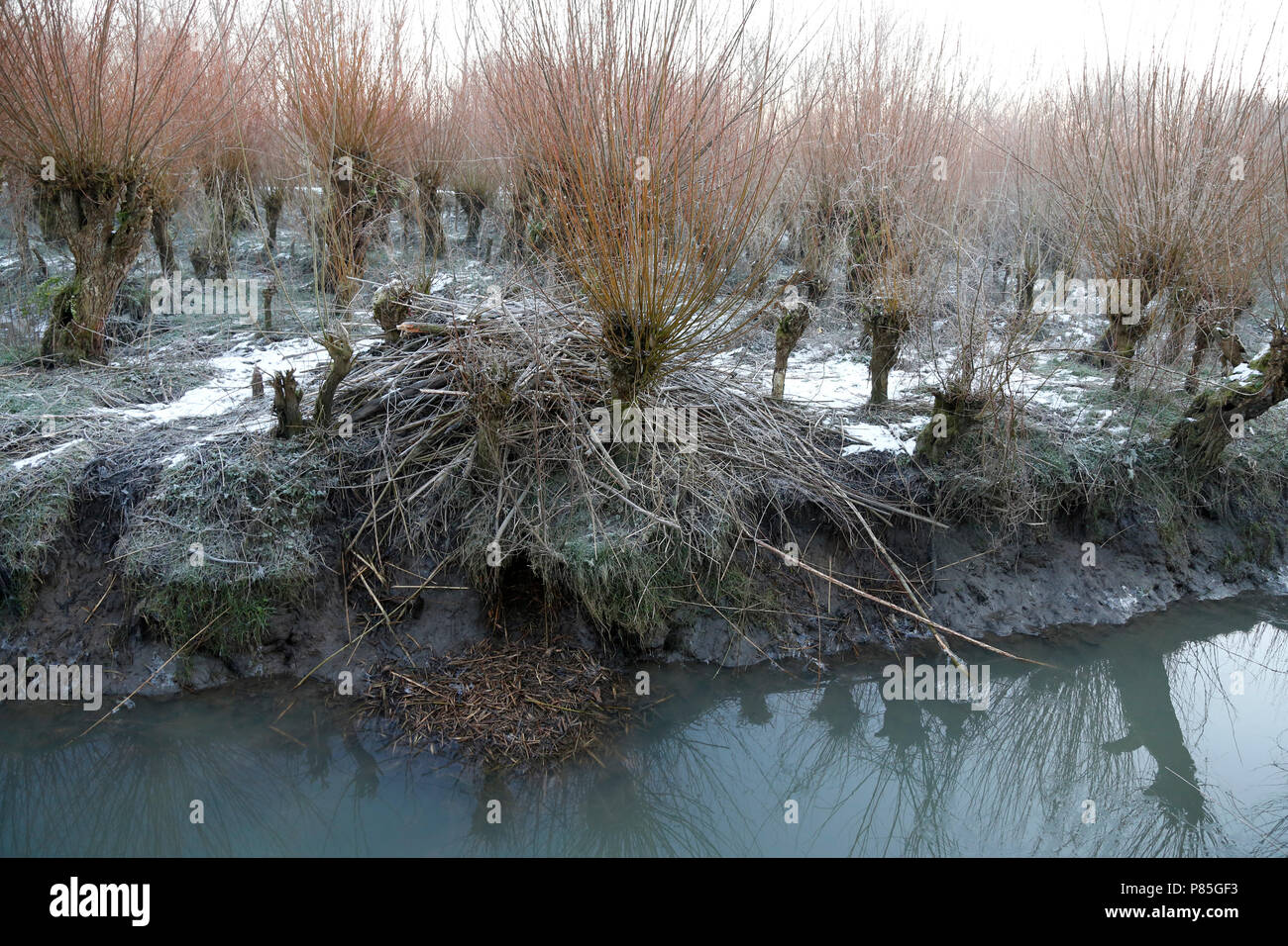 Van bever hi-res stock photography and images - Alamy