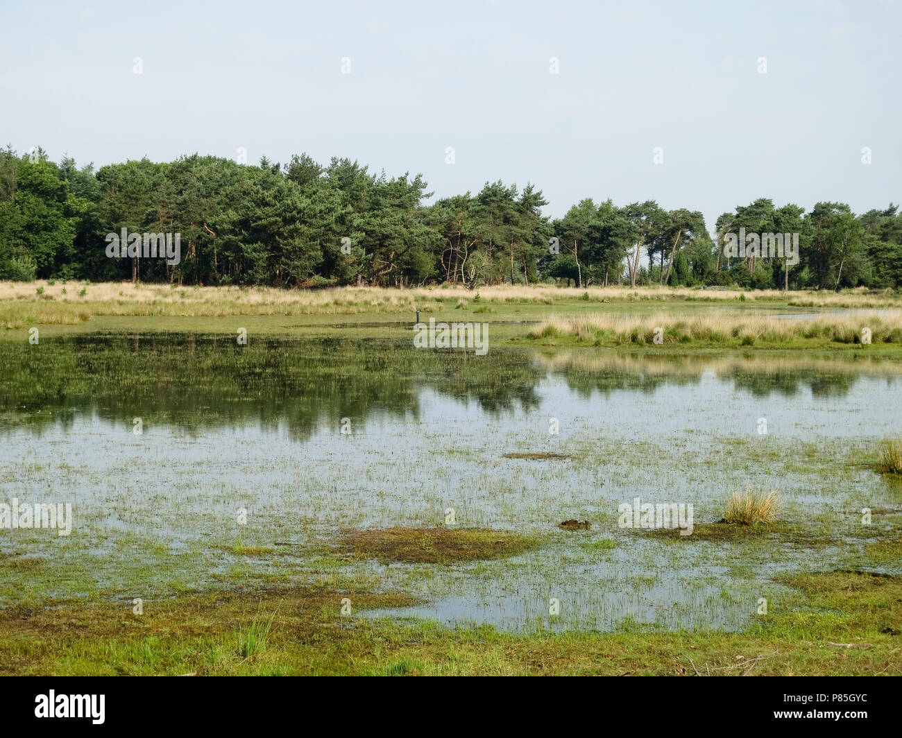 Heide landschap hi-res stock photography and images - Alamy