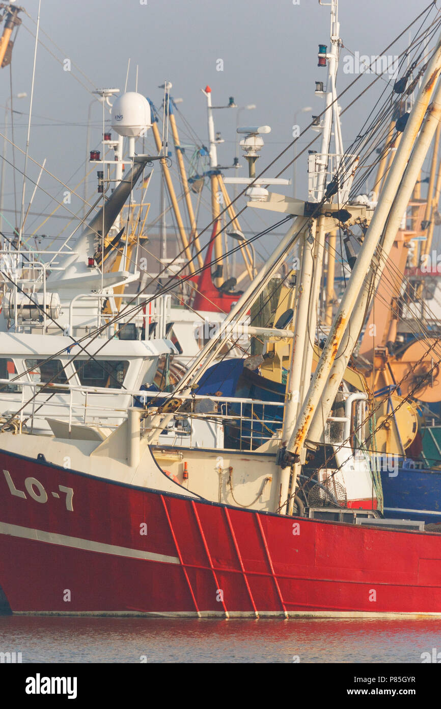 Vissersboten in de haven van Lauwersoog, Boats in Harbour Lauwersoog Stock Photo - Alamy