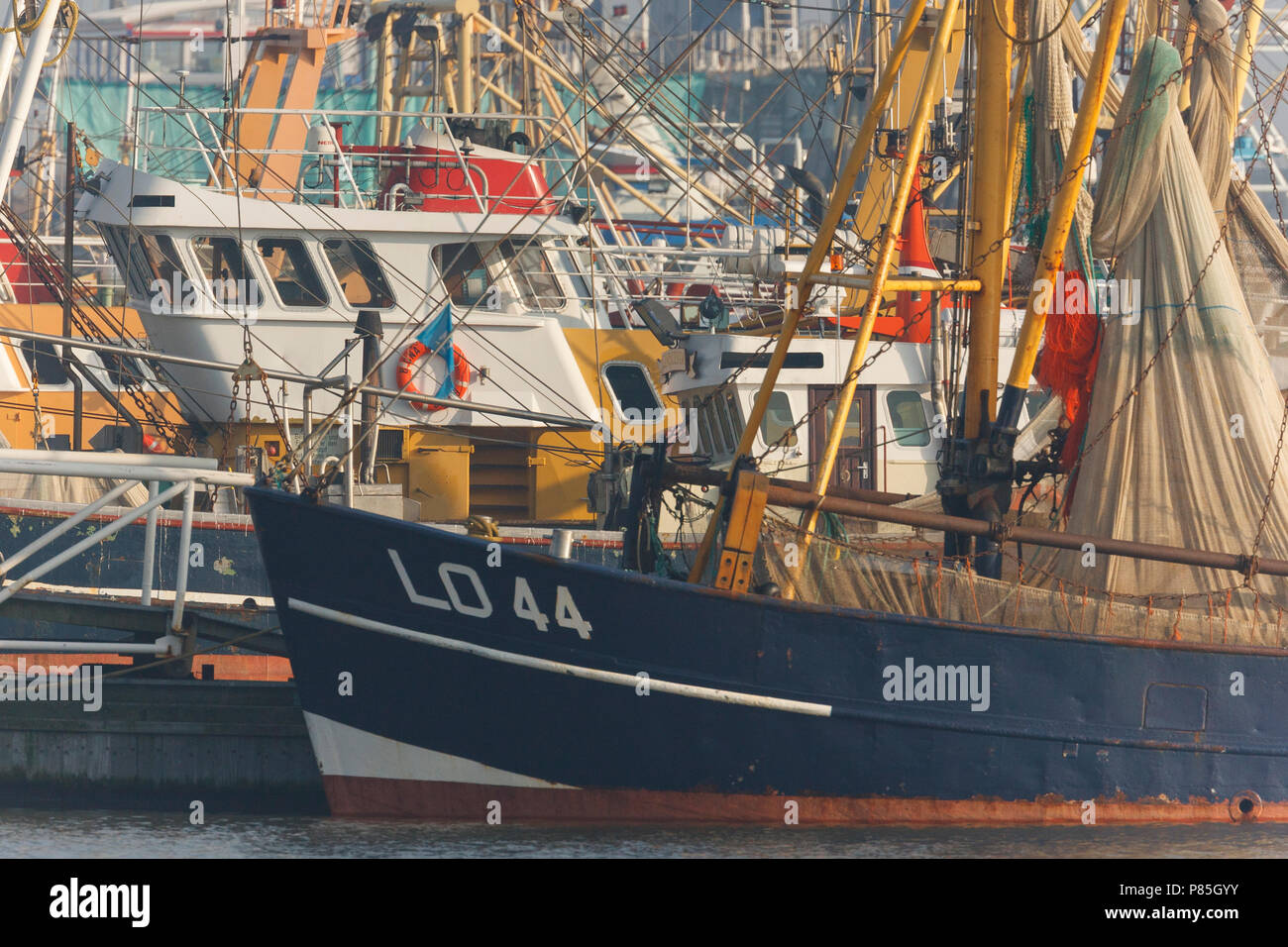 Vissersboten in de haven van Lauwersoog, Boats in Harbour Lauwersoog Stock Photo - Alamy