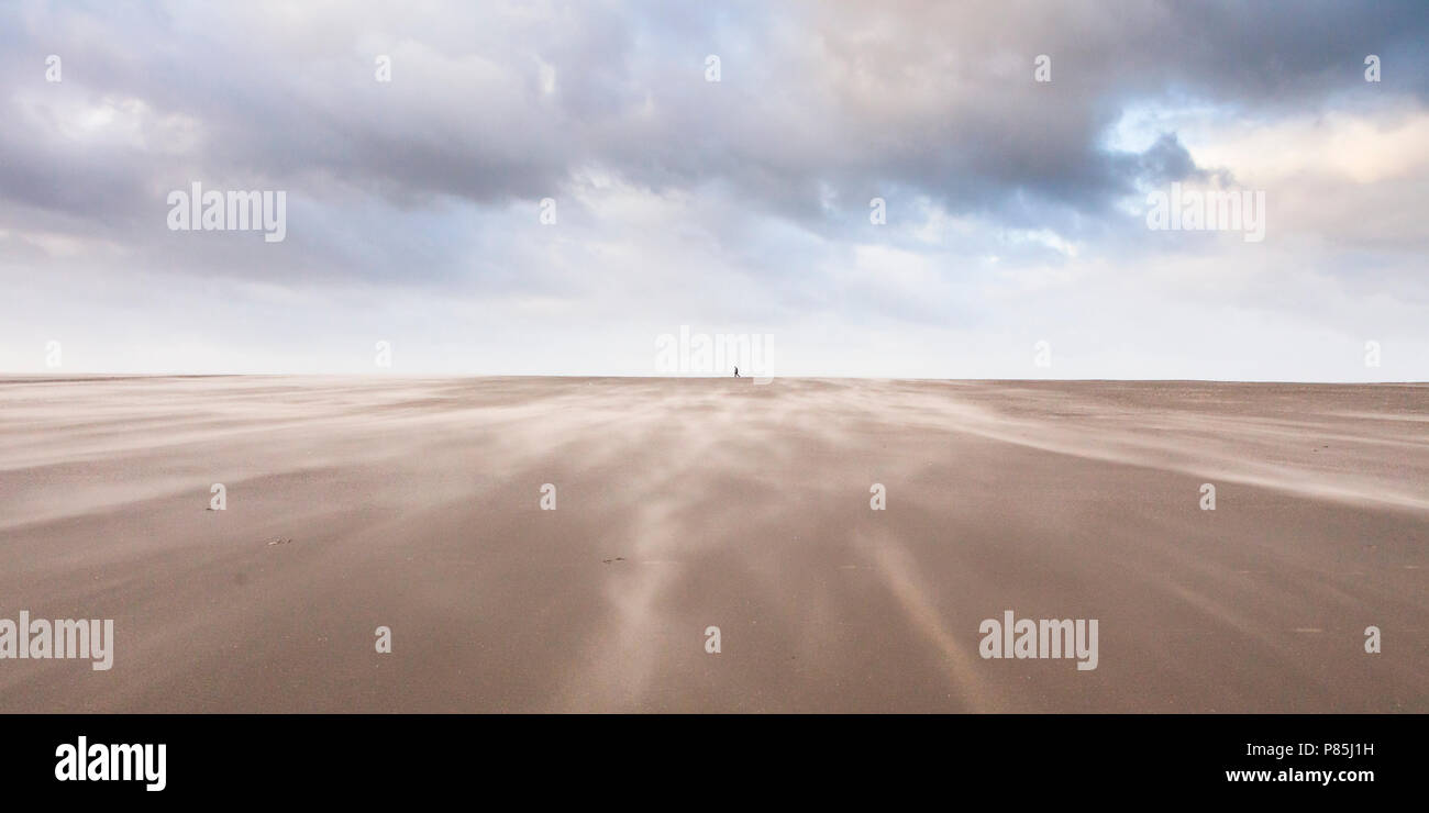 man wandelt over strand in storm; man walks on beach in storm Stock ...