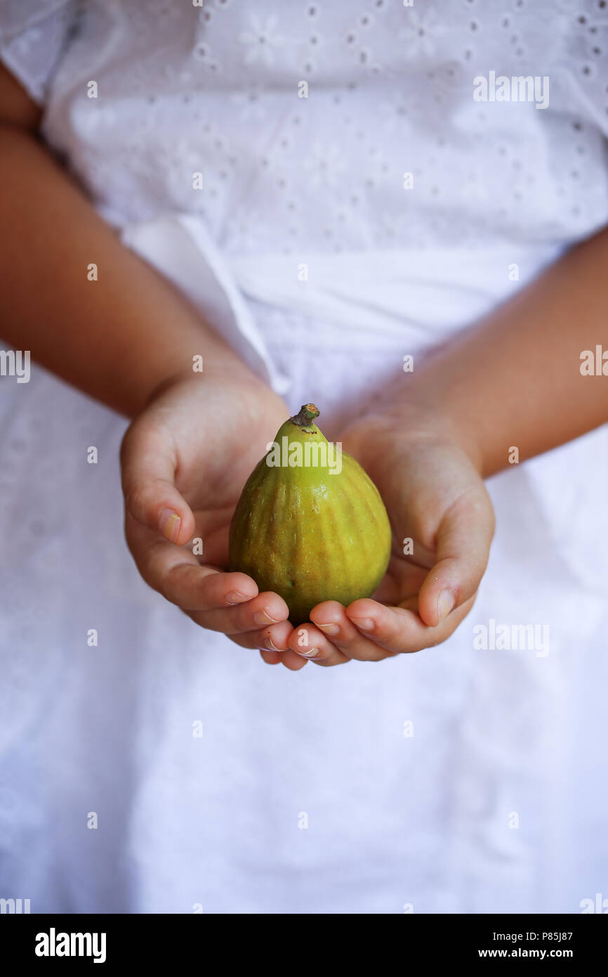 Fioroni, early figs Stock Photo - Alamy