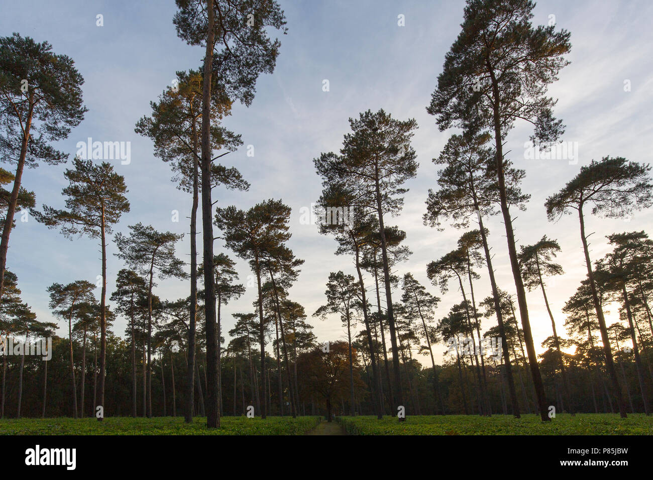 Kasteel Ravenhof High Resolution Stock Photography and Images - Alamy