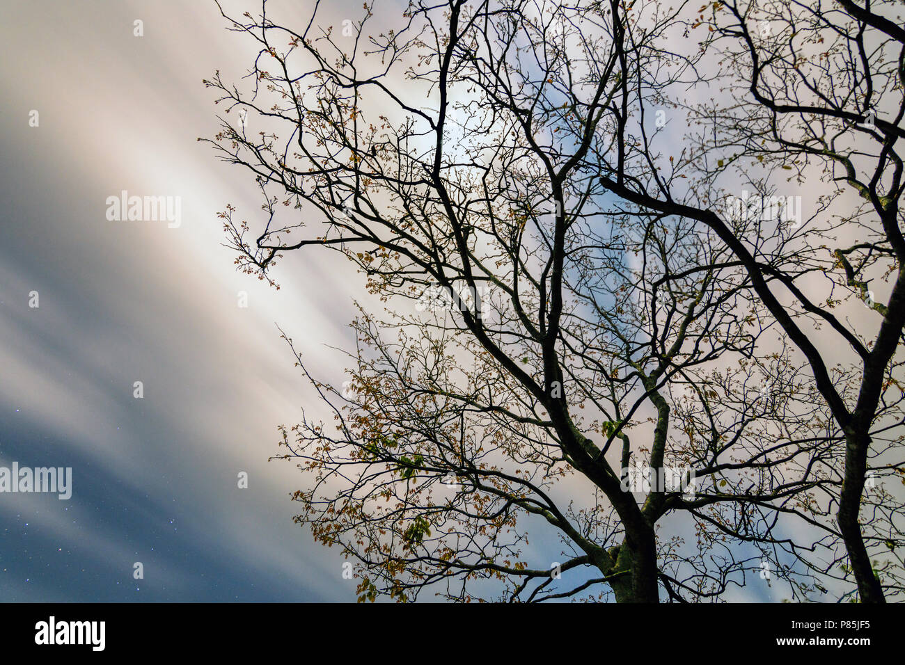 Under The Moon, Malang, East Java Indonesia Stock Photo - Alamy