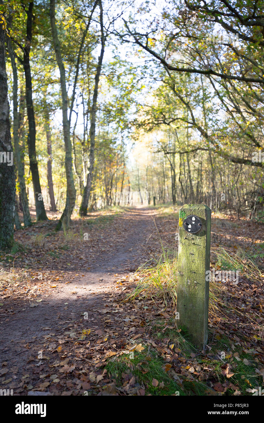 Autumn landscape in the Netherlands Stock Photo - Alamy