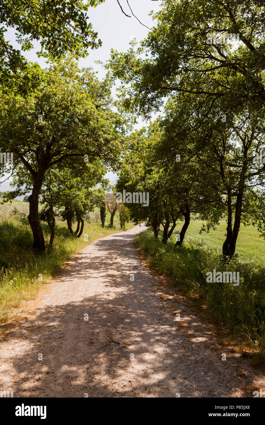Beautiful tuscan landscape hi-res stock photography and images - Alamy