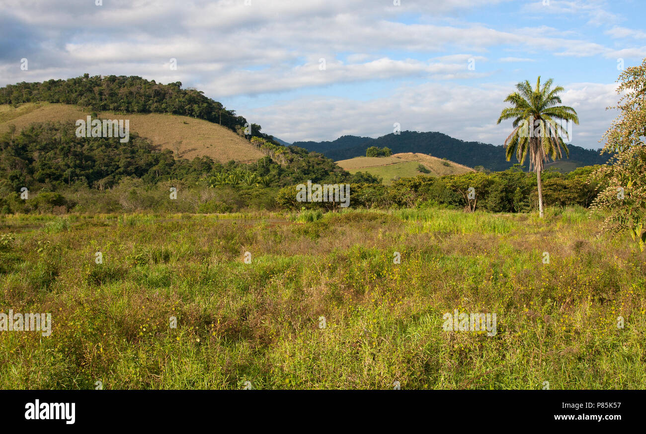 Regua brazil hi-res stock photography and images - Alamy