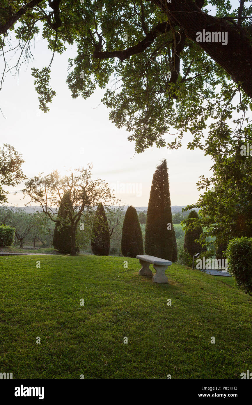 Italian cypress tree hi-res stock photography and images - Alamy