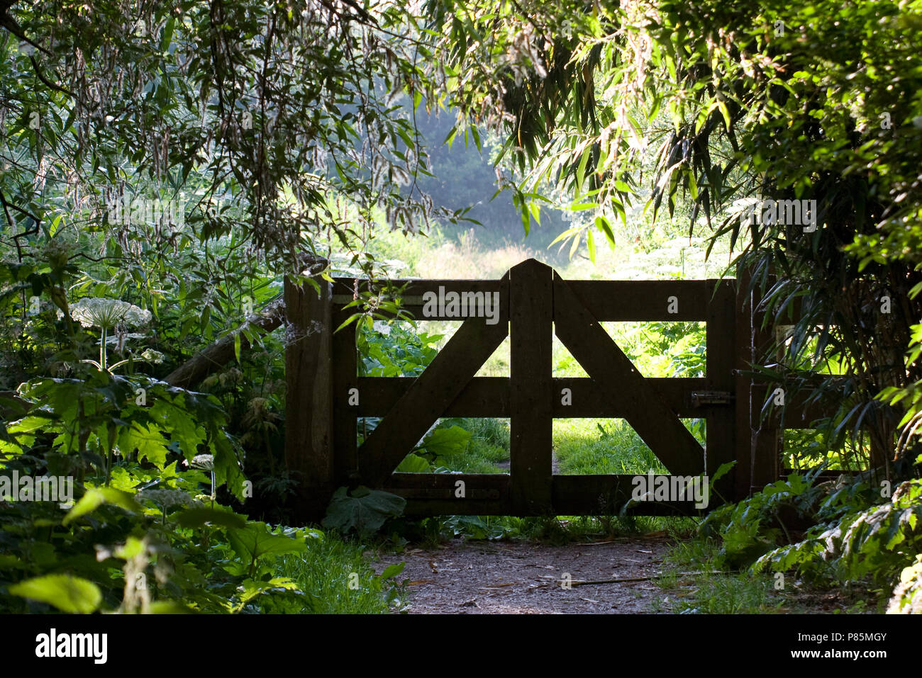 Kromme hi-res stock photography and images - Alamy