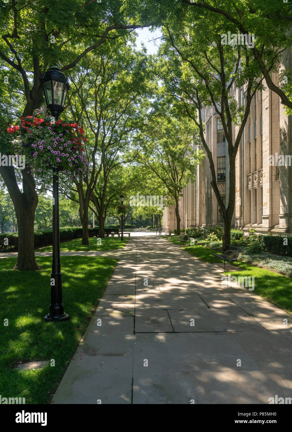Cathedral of Learning building at the University of Pittsburgh Stock ...