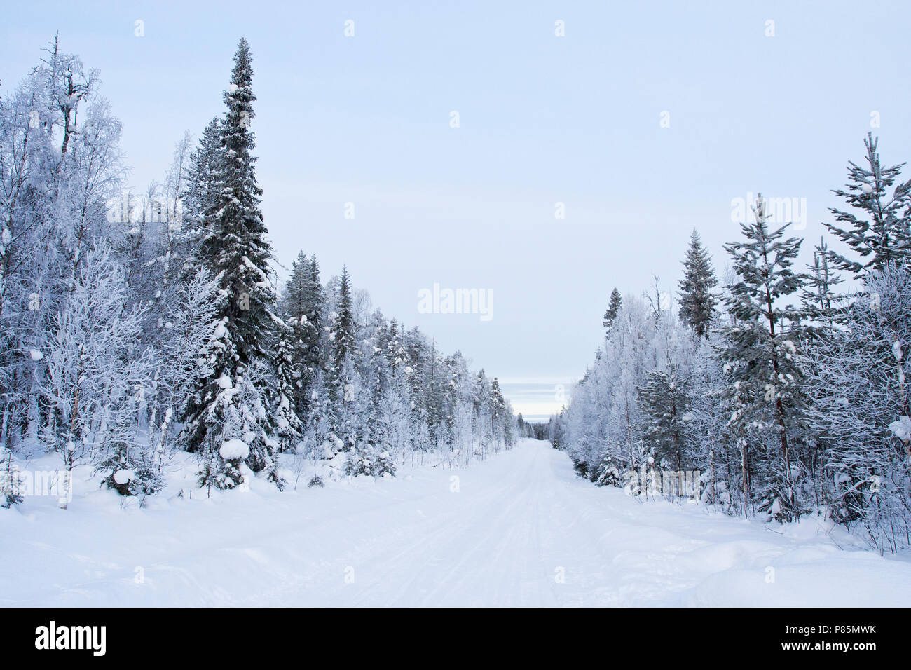 Kuusamo finland hi-res stock photography and images - Alamy