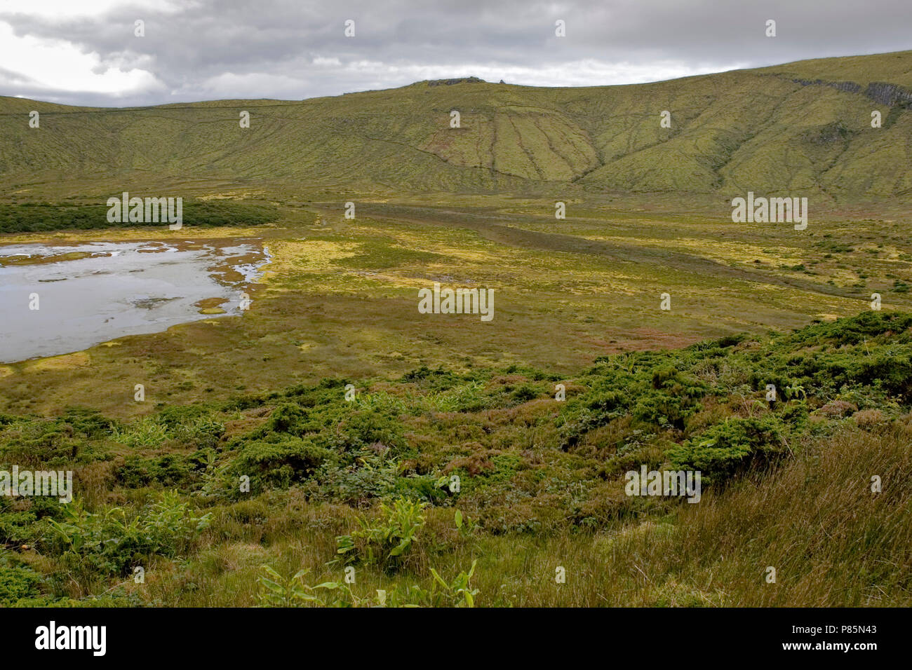 Azoren landscape hi-res stock photography and images - Alamy