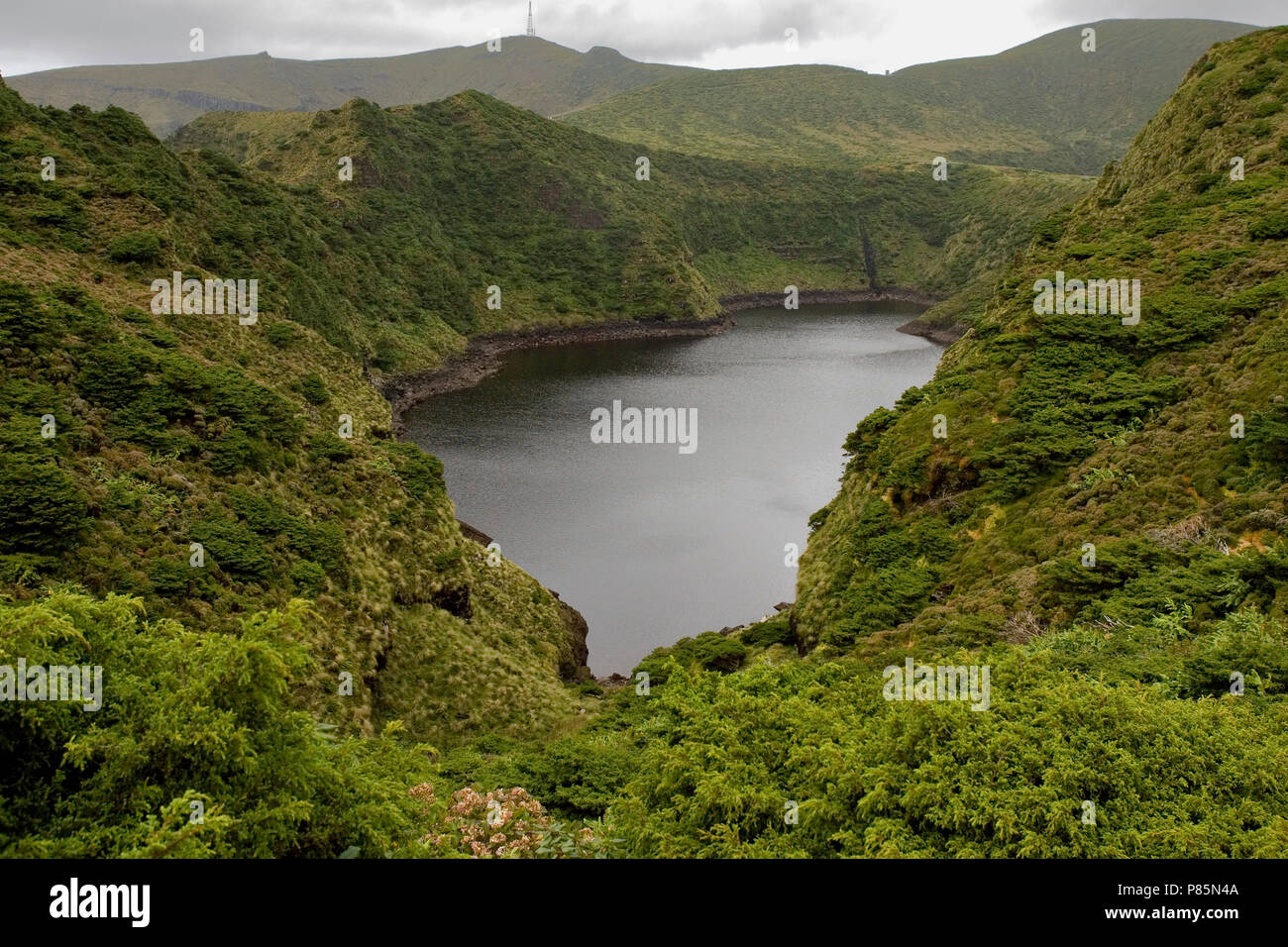 Landschap Azoren; Landscape Azores Stock Photo - Alamy