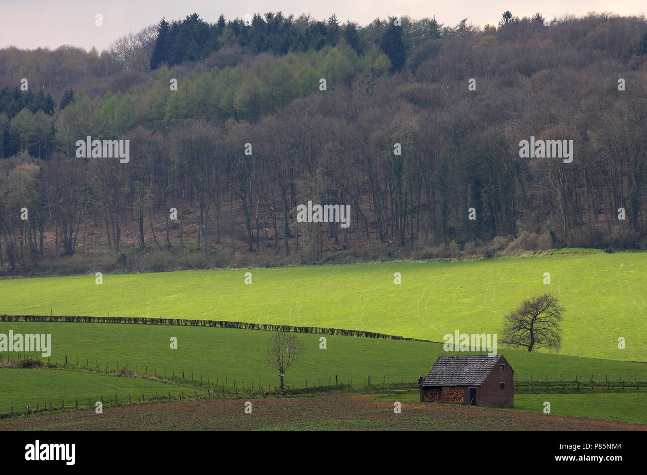 Epen hi-res stock photography and images - Alamy
