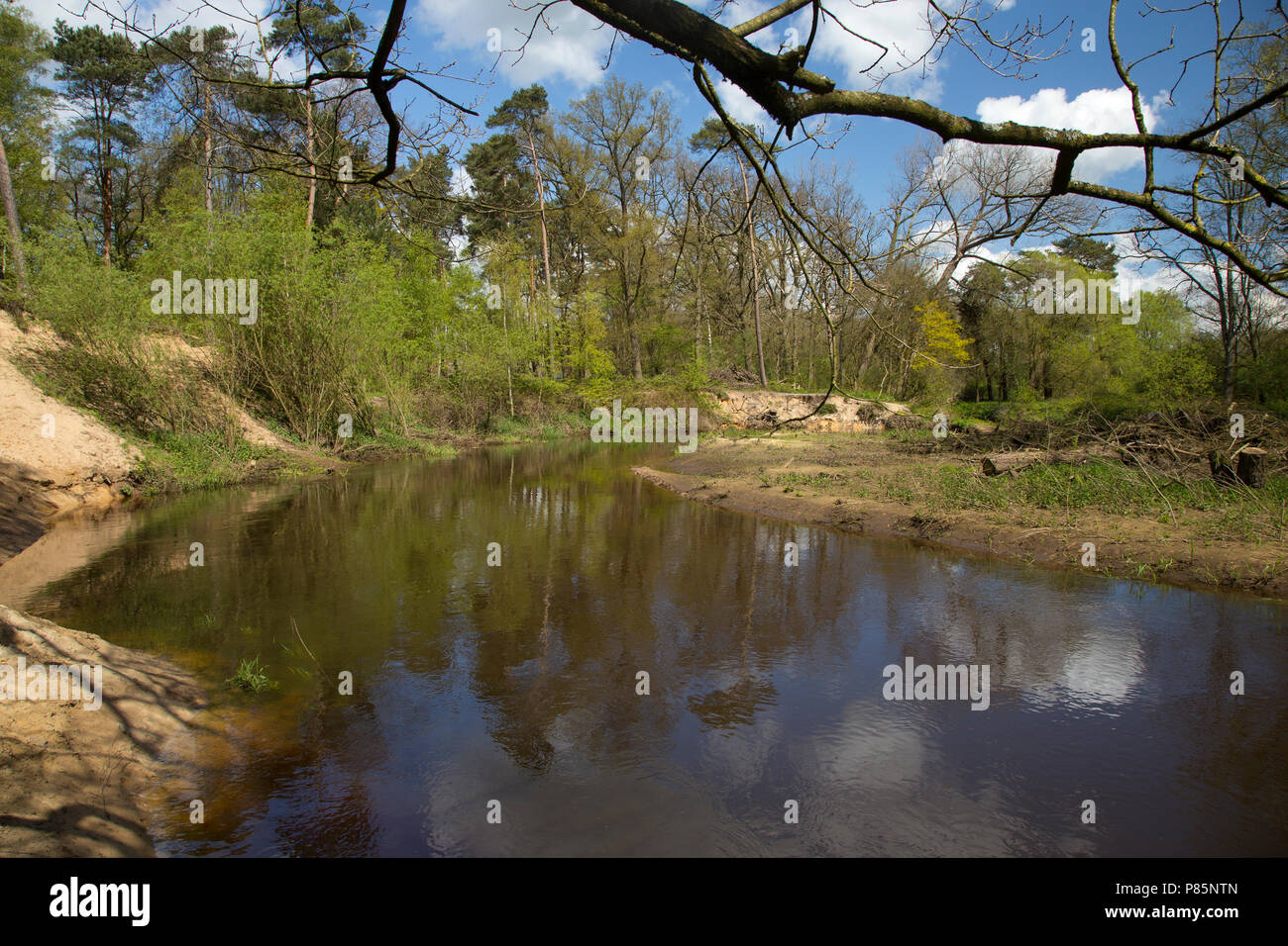 Landschao het Lutterzand, Landscape het Lutterzand Stock Photo - Alamy