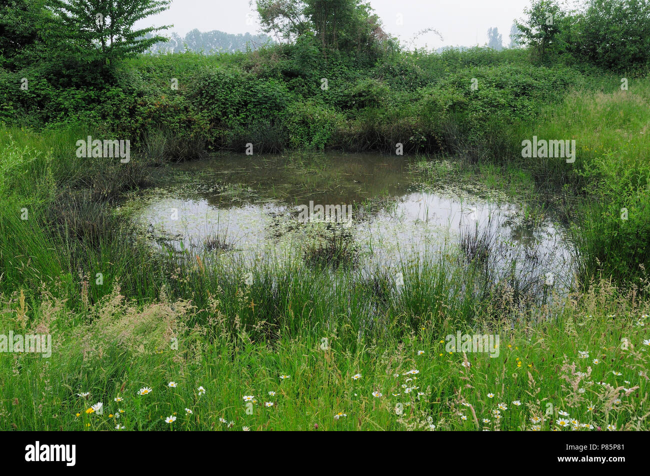 De doort hi-res stock photography and images - Alamy