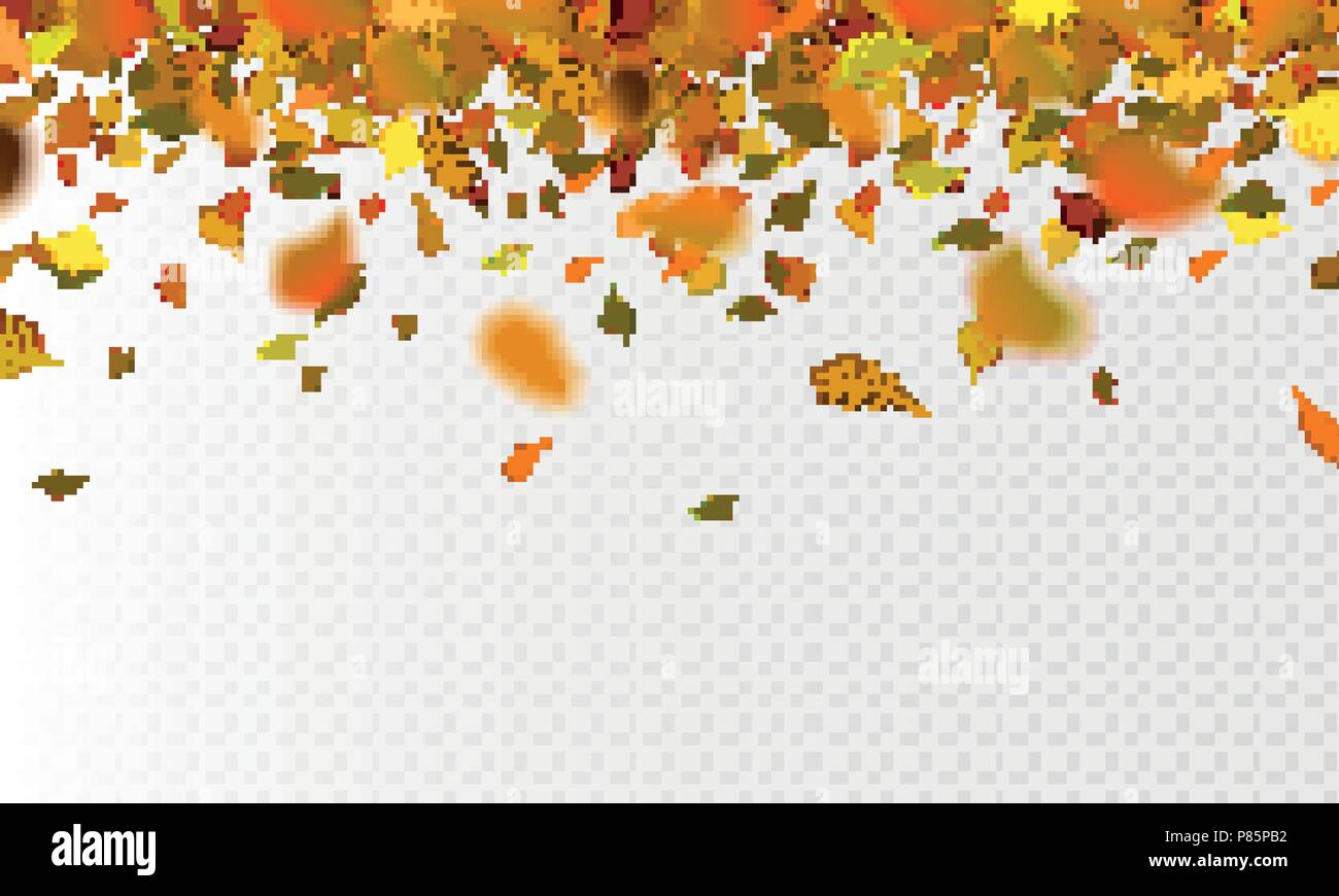 Stock vector illustration autumn falling leaves on transparent ...