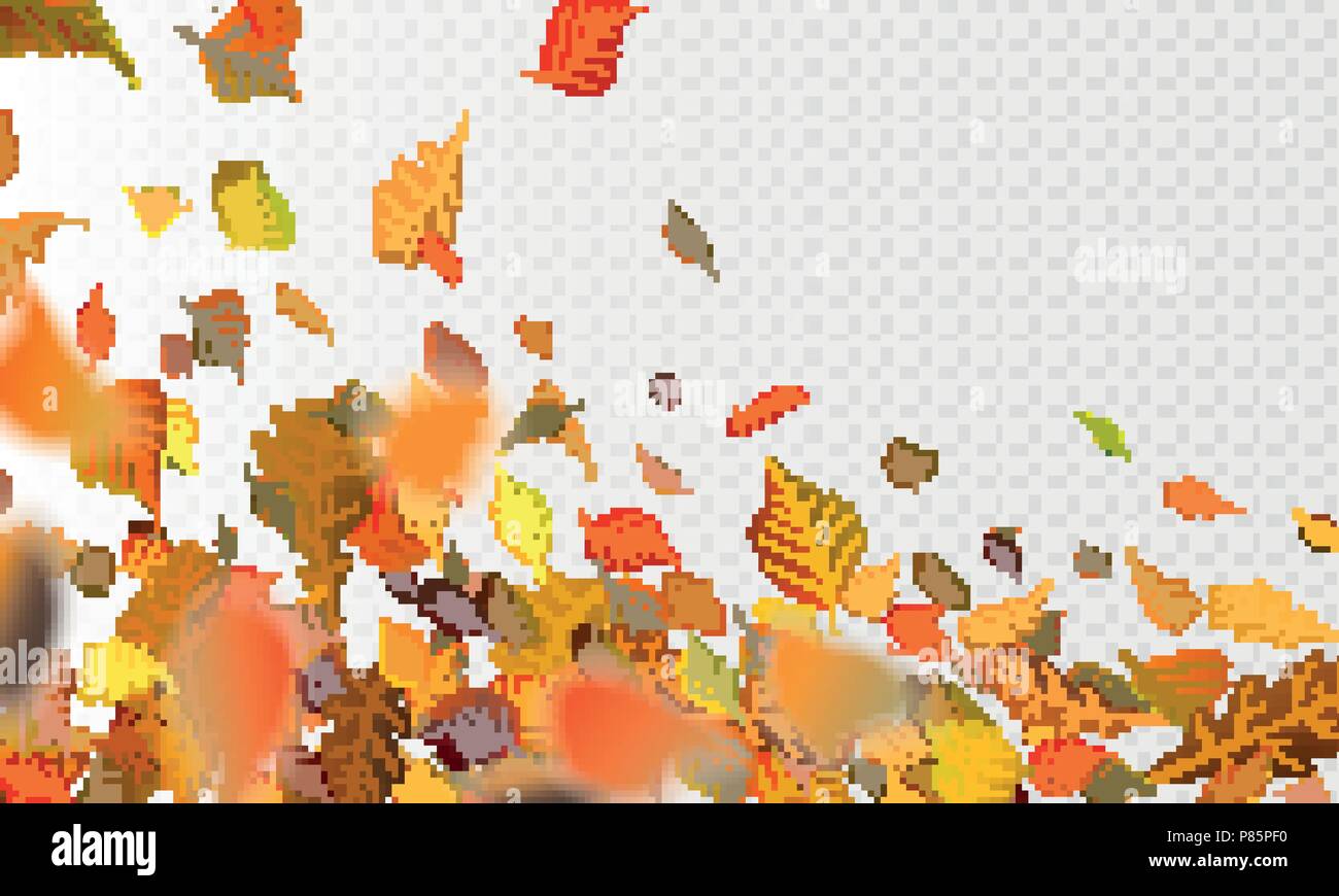 Stock vector illustration autumn falling leaves on transparent ...