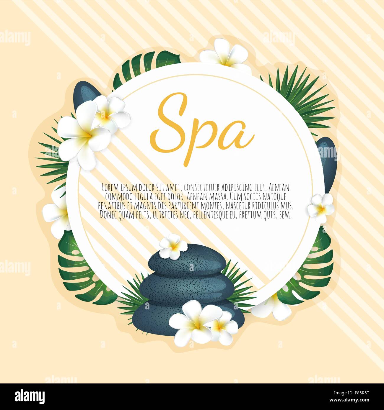 Spa banner withPlumeria flowers and zen stone. Vector illustration ...