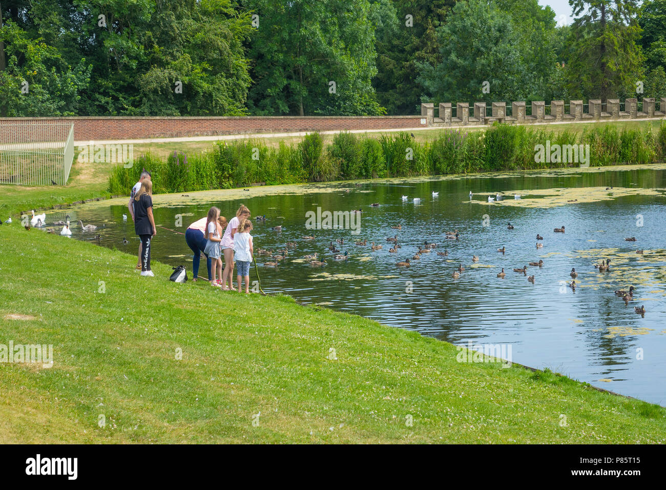 Lydiard hi-res stock photography and images - Alamy