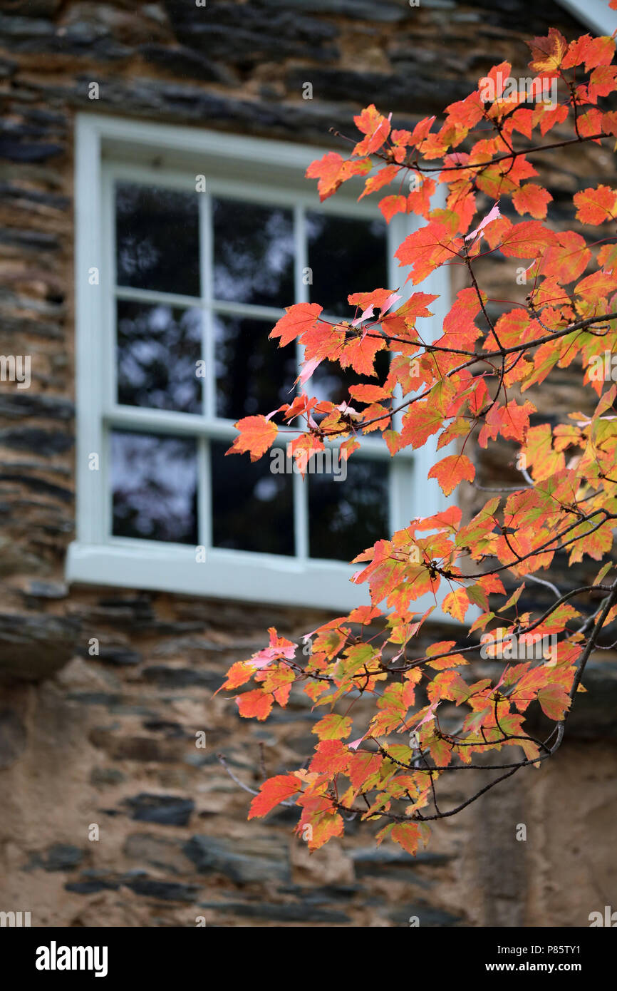 window inset in stone wall with orange and red foliage in foreground ...