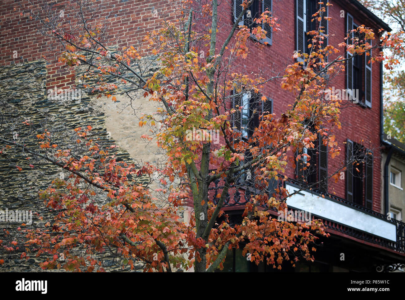 brick and stone historic structure with colorful fall foliage filled ...
