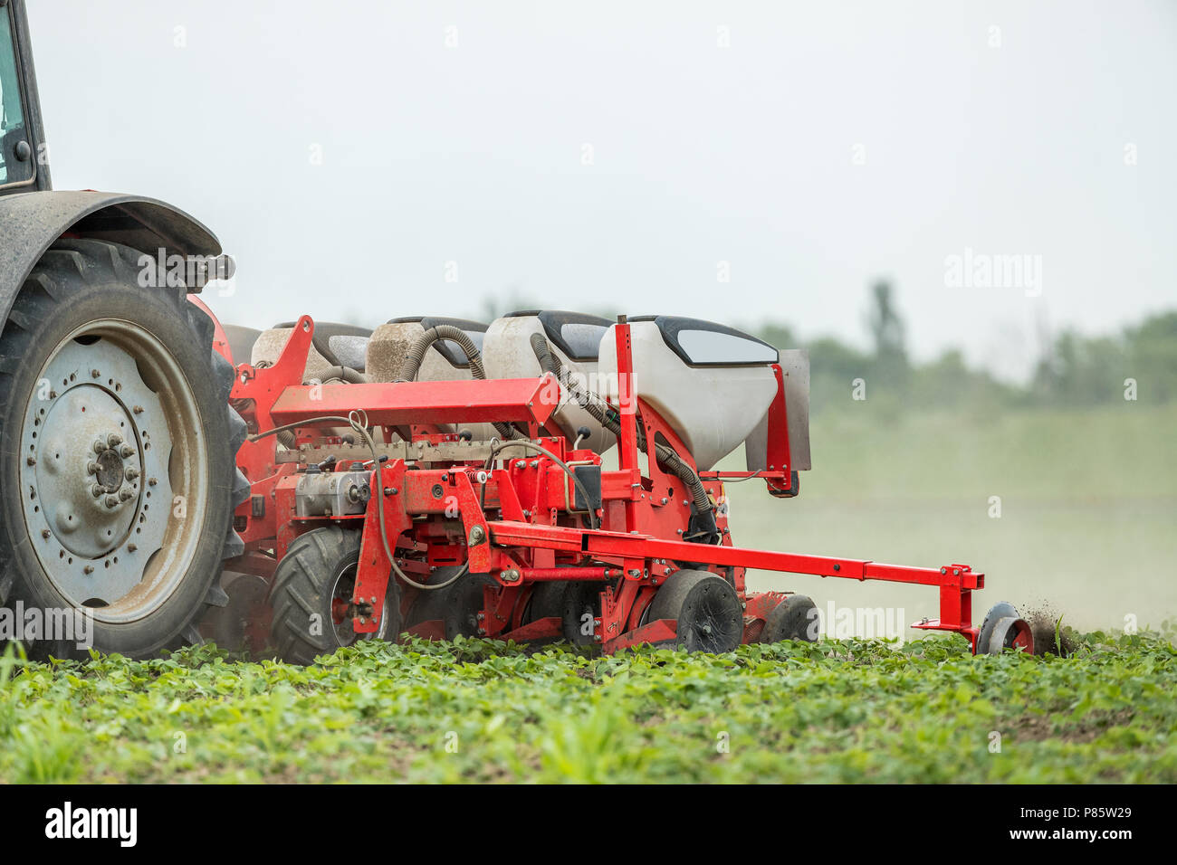 Farmer seeding, sowing crops at field. Sowing is the process of ...