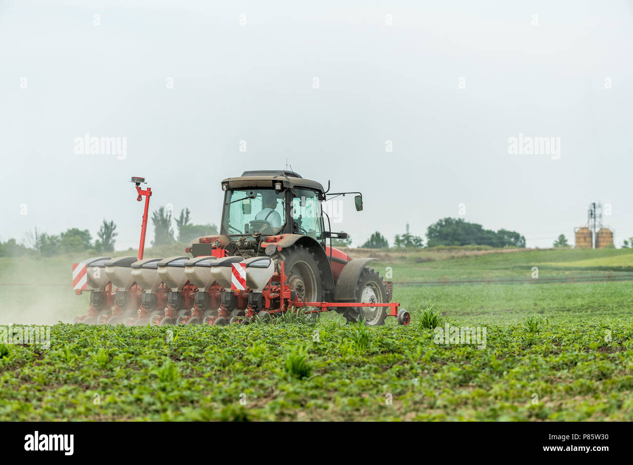 Farmer seeding, sowing crops at field. Sowing is the process of ...