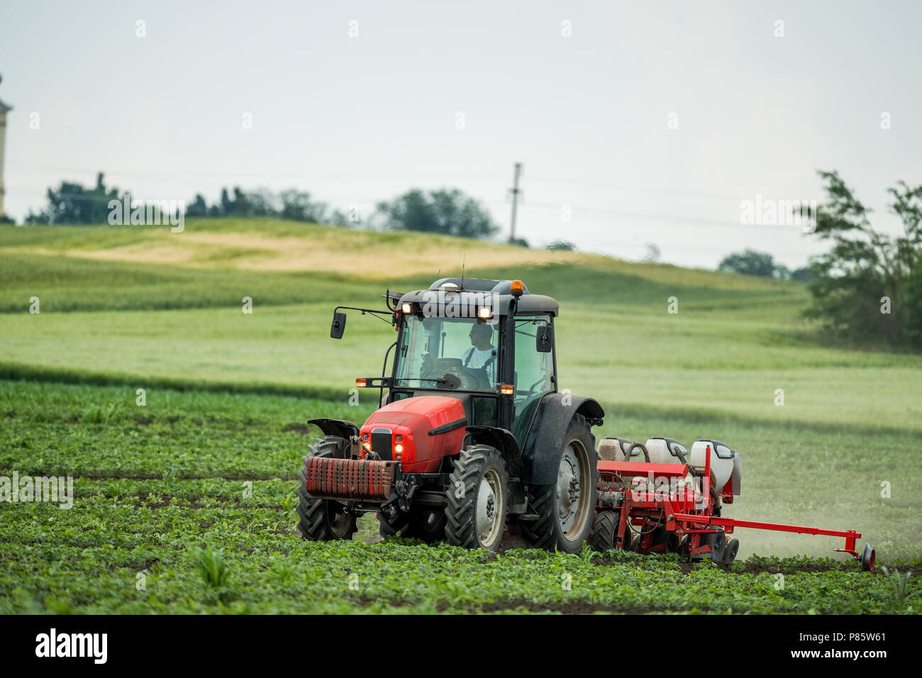 Farmer seeding, sowing crops at field. Sowing is the process of ...