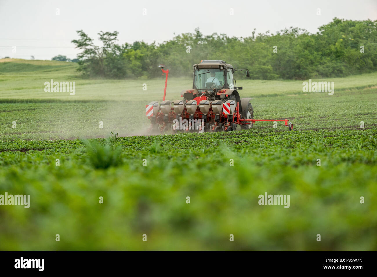 Farmer seeding, sowing crops at field. Sowing is the process of ...
