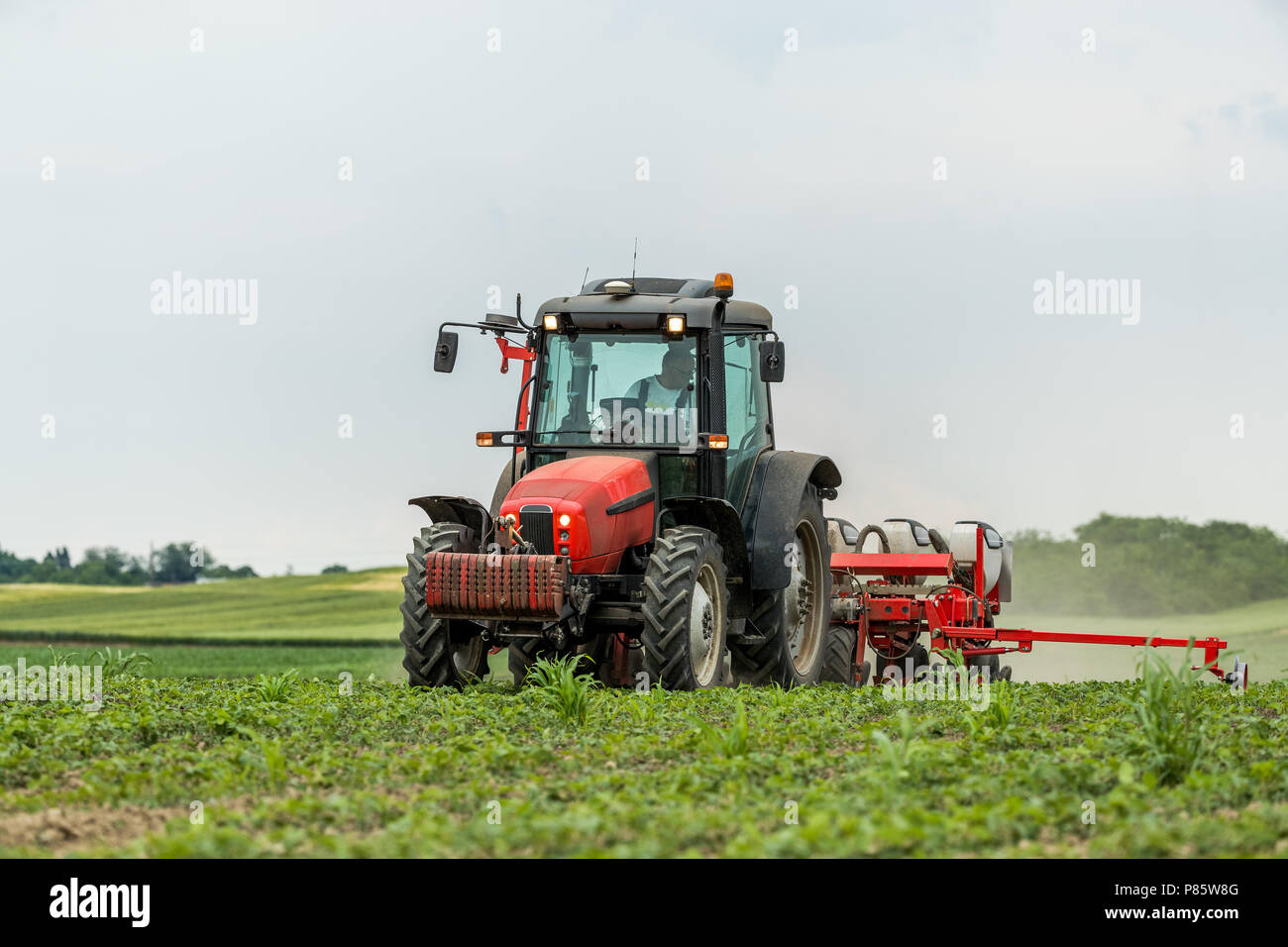 Farmer seeding, sowing crops at field. Sowing is the process of ...