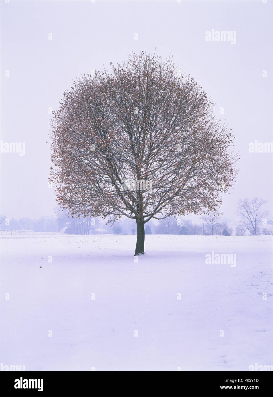Same scene different season hi-res stock photography and images - Alamy