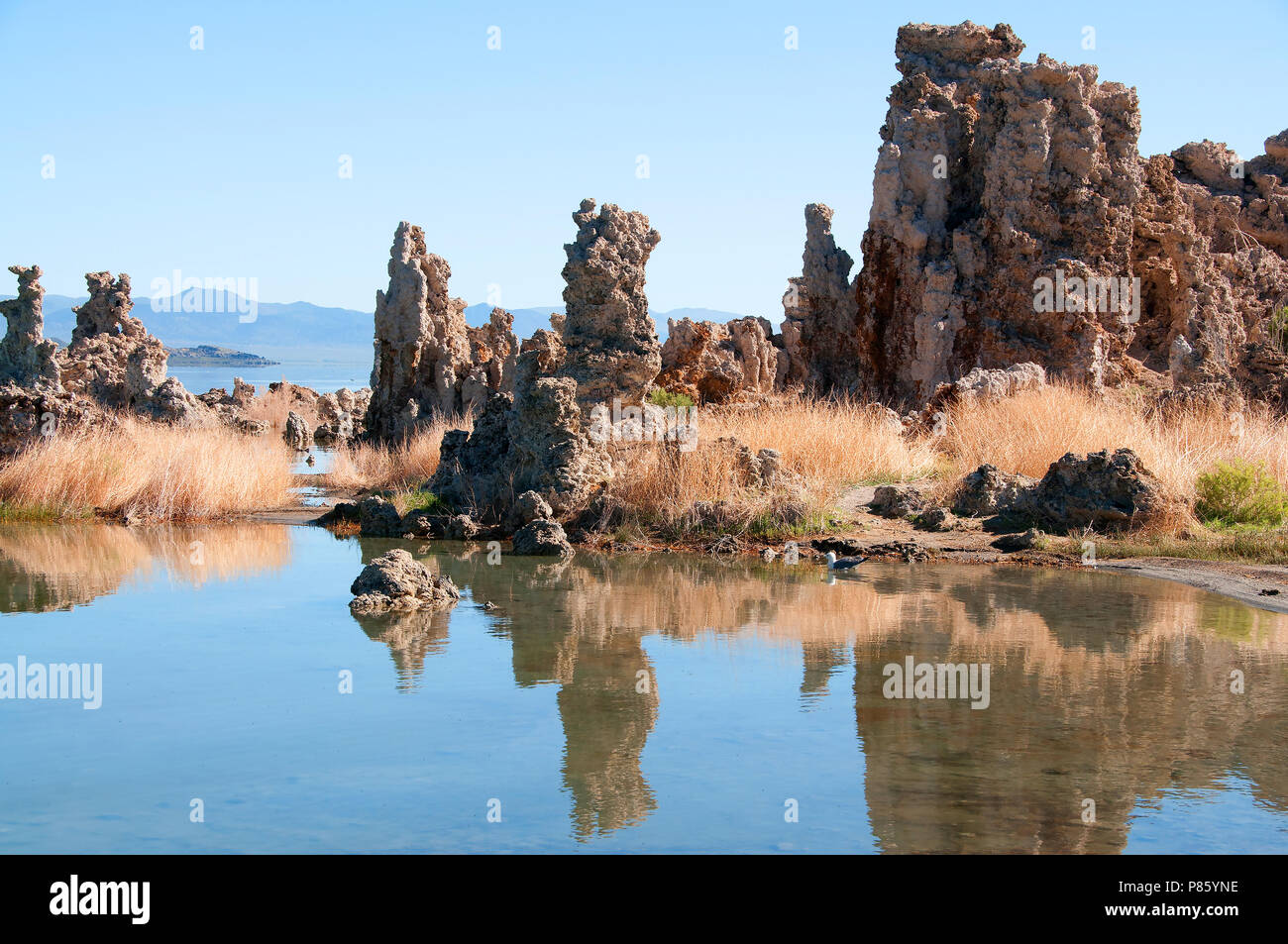 Mono Lake's most distinctive feature are the eerie tufa towers ...