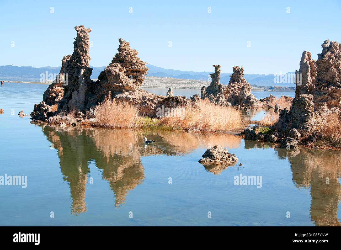 Mono Lake's most distinctive feature are the eerie tufa towers ...