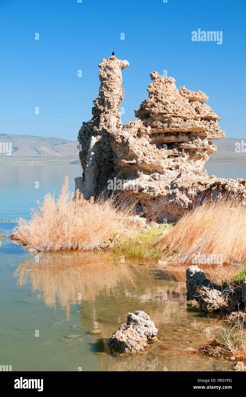 Mono Lake's most distinctive feature are the eerie tufa towers ...