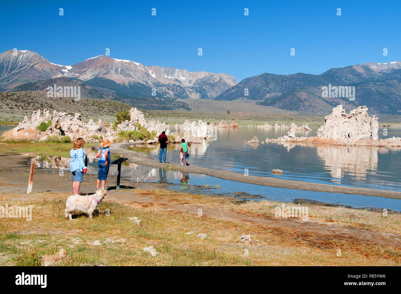 Mono Lake's most distinctive feature are the eerie tufa towers ...