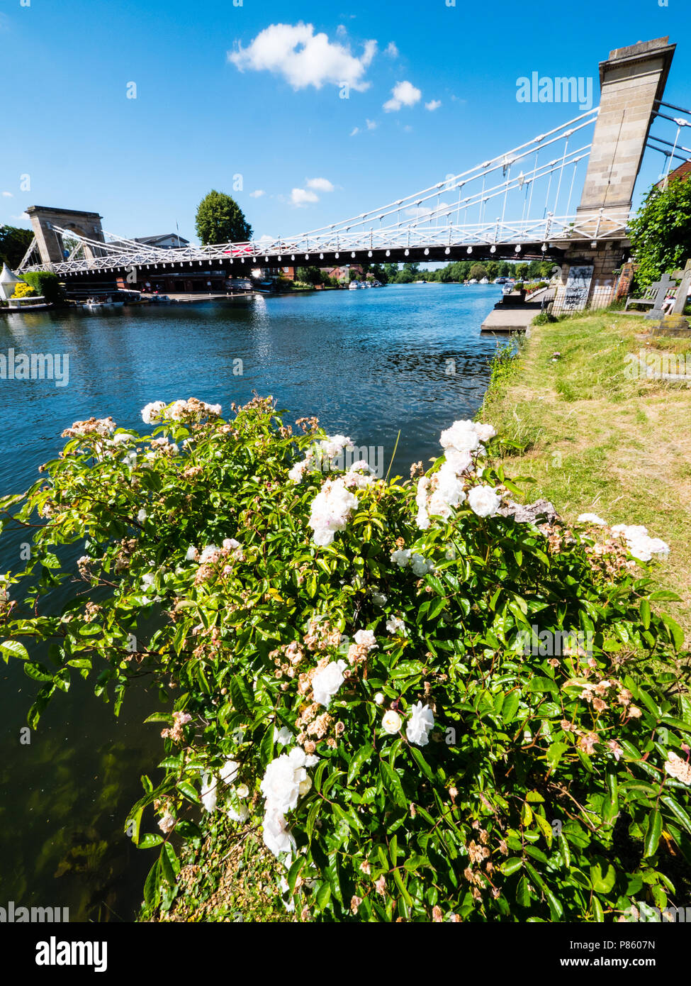 Marlow Bridge, River Thames, Marlow, Buckinghamshire, England, UK, GB ...