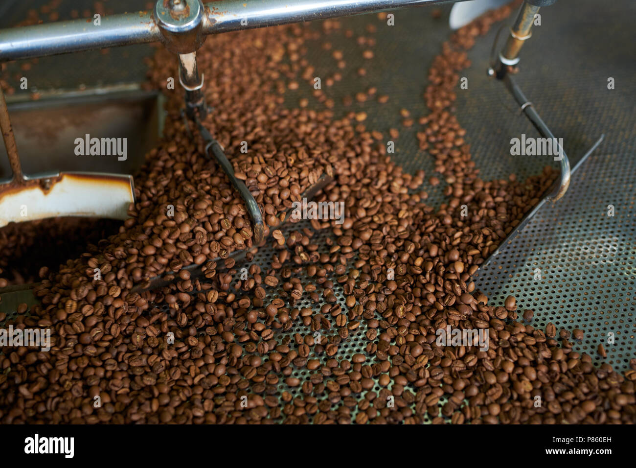 Above view closeup of creamy brown coffee beans roasting in drum machine of local artisan ...