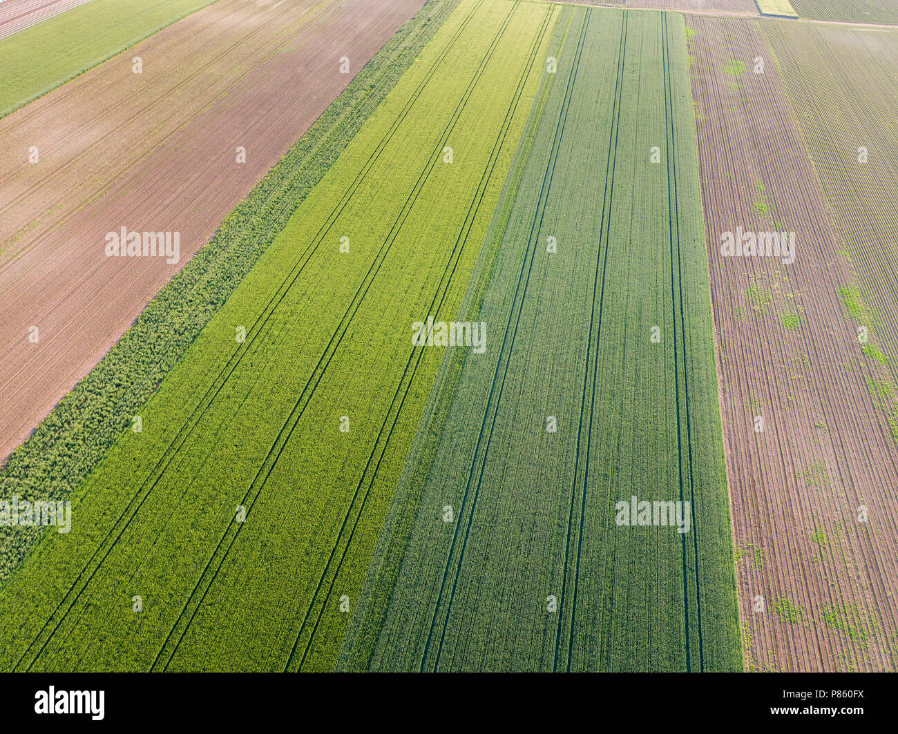 Agricultural landscape, aerial shot of an arable crop field. Arable ...